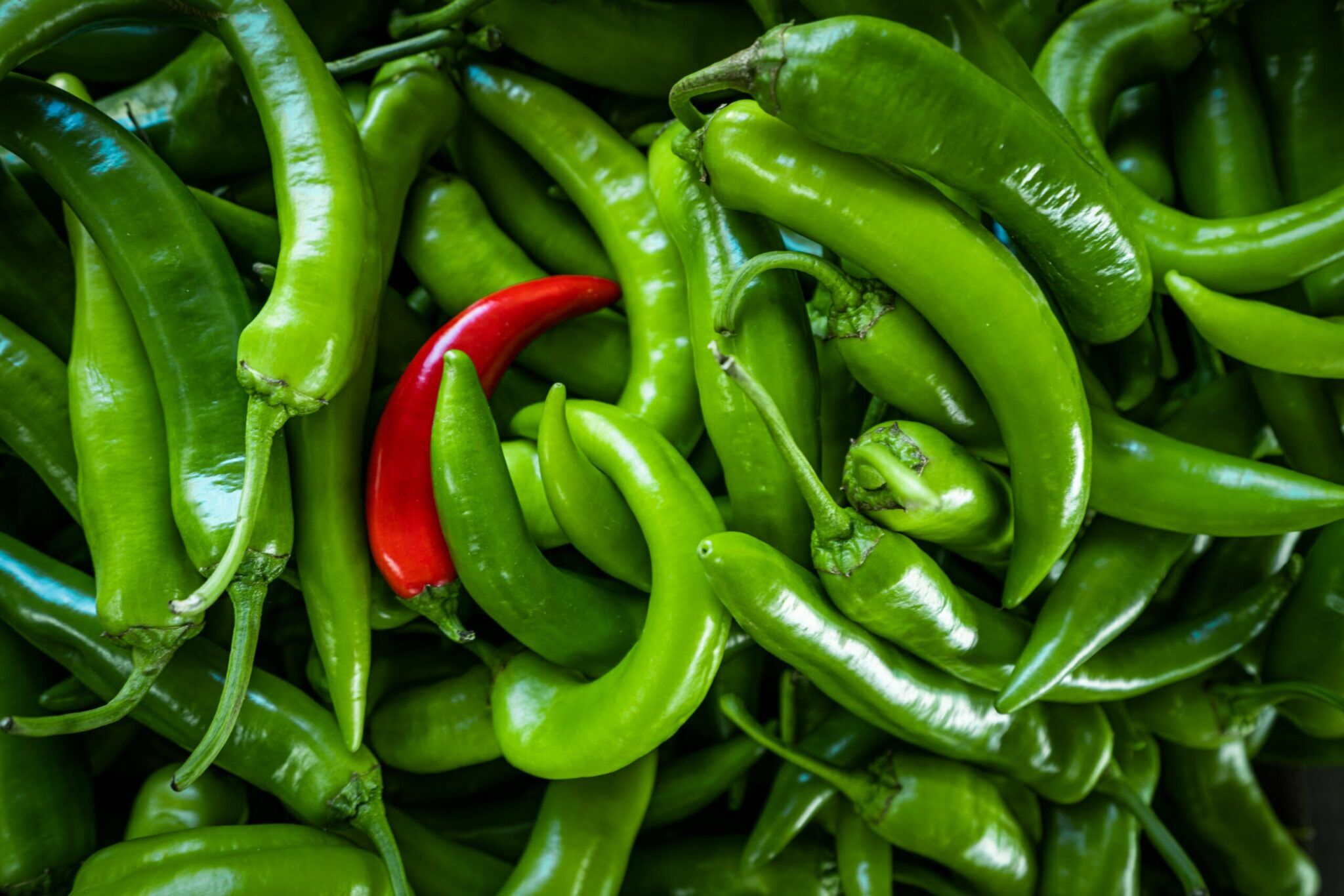 Fruits Vegetables | Indo Asian Food Industries Dubai